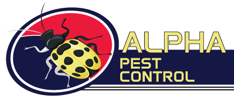 Your Local Pest Control Company in Melbourne, VIC